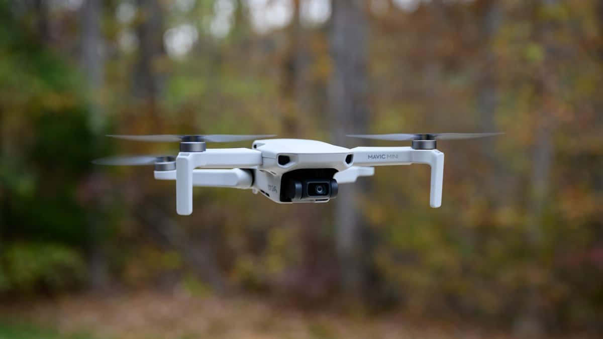 DJI Mavic Mini Review: the Smallest and Lightest Drone | ITIGIC