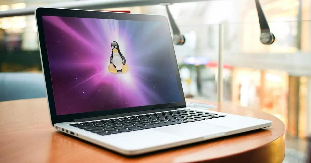 The Best Linux Distributions According to Your Needs | ITIGIC