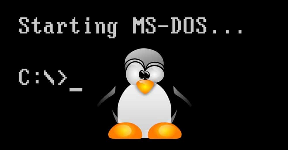 DSL, the Subsystem that Allows us to Run Linux on MS-DOS | ITIGIC