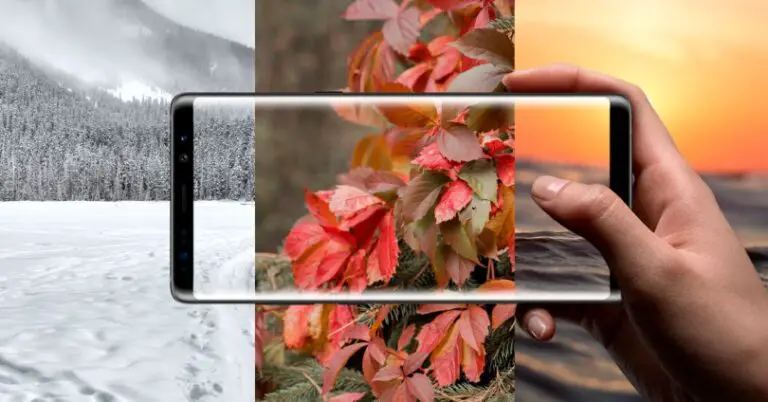 Scene Modes on Mobiles: How Do They Improve Photos? | ITIGIC