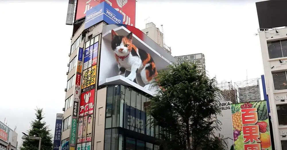 The 3D Cat Ad that Surprises in Tokyo with 4K Screens | ITIGIC