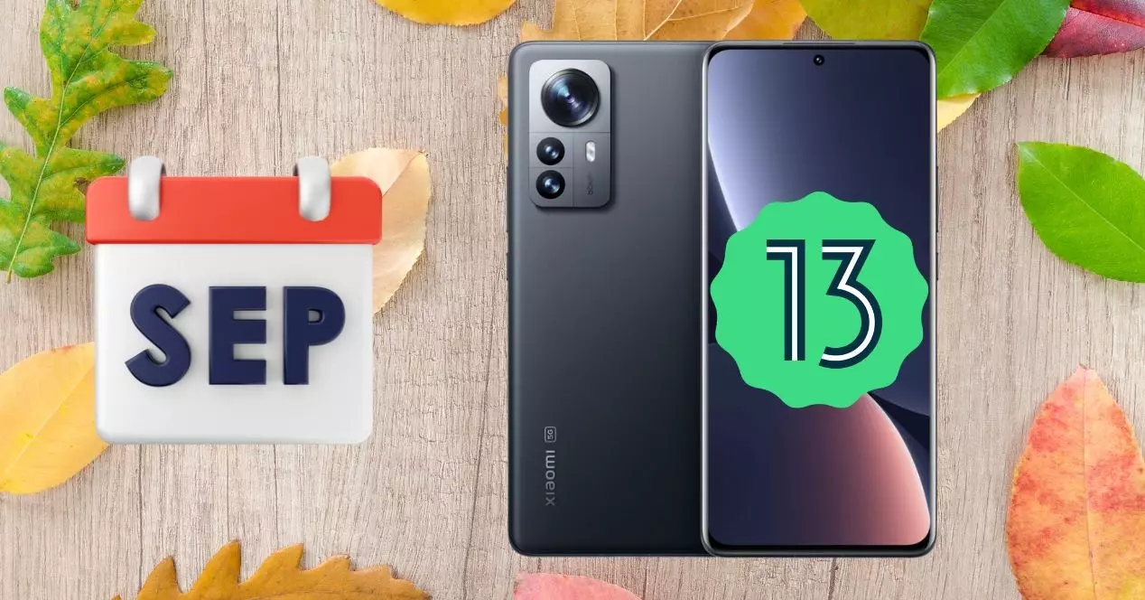 Android 13 นำหน้า: เร็ว ๆ นี้คุณจะสามารถอัปเดตมือถือของคุณ | ITIGIC