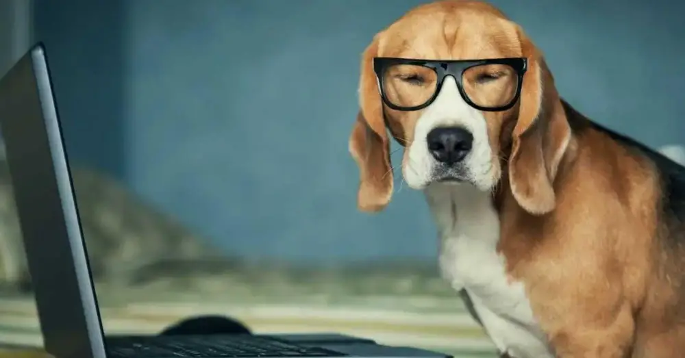 Avoid neck pain: how you should place your PC monitor | ITIGIC